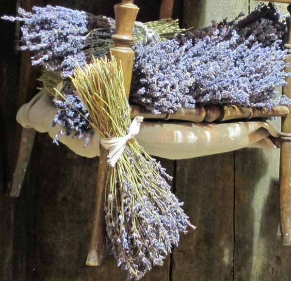 An Easy Recipe For Homemade Lavender Sugar - Larder Love