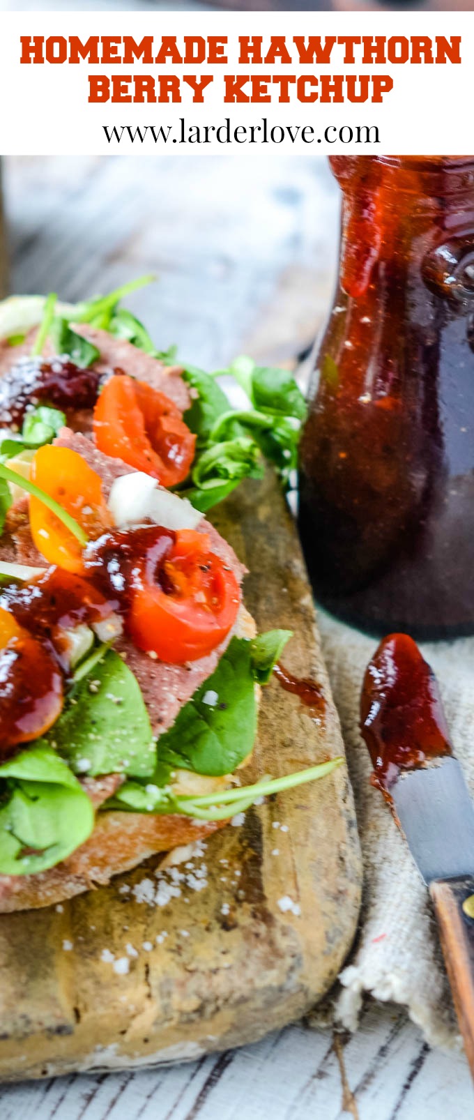 Homemade Hawthorn Berry Ketchup - Larder Love