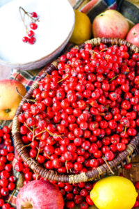 Easy Homemade Rowan Berry Jelly - Larder Love