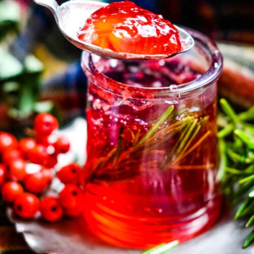 Easy Homemade Rowan Berry Jelly - Larder Love