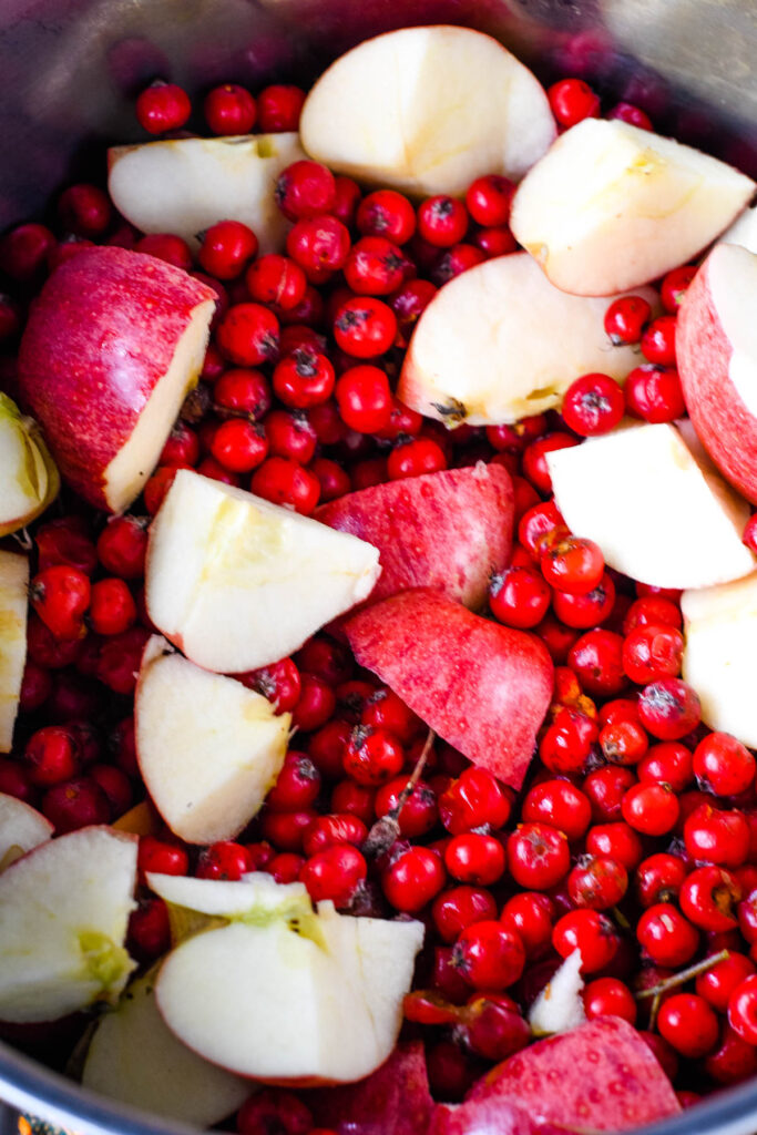 Easy Homemade Rowan Berry Jelly - Larder Love