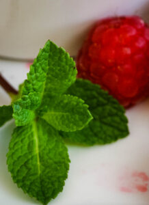 4 Ingredient Scottish Raspberry And Mint Jelly - Larder Love