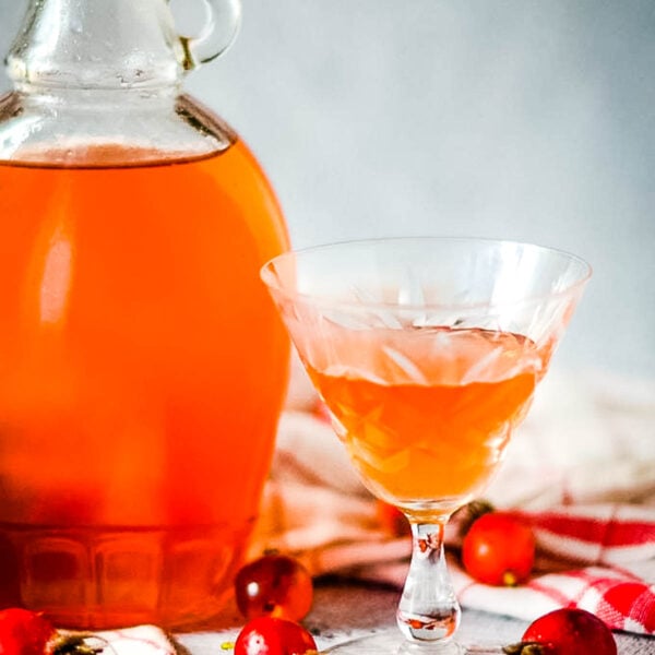 Homemade Rosehip Syrup Recipe - Larder Love