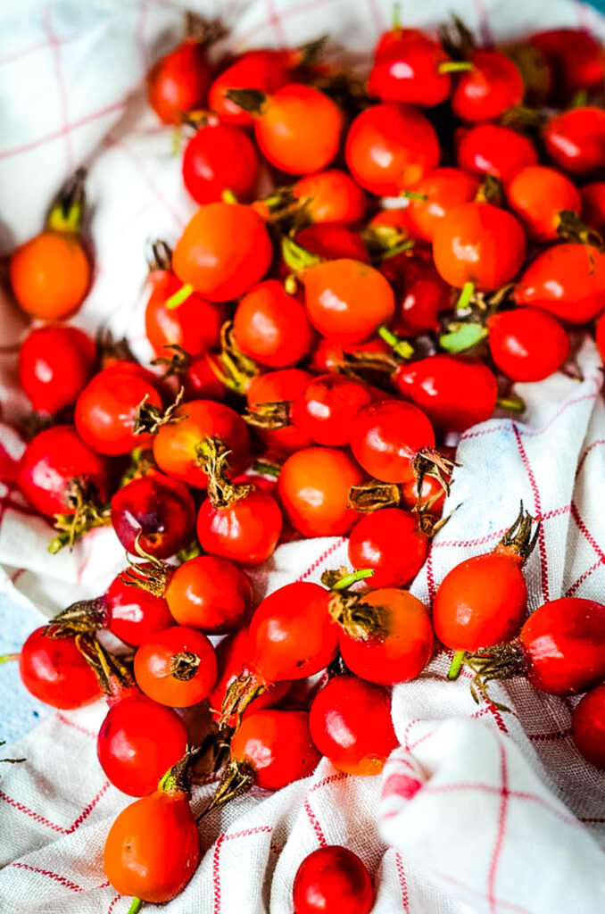 Homemade Rosehip Syrup Recipe - Larder Love