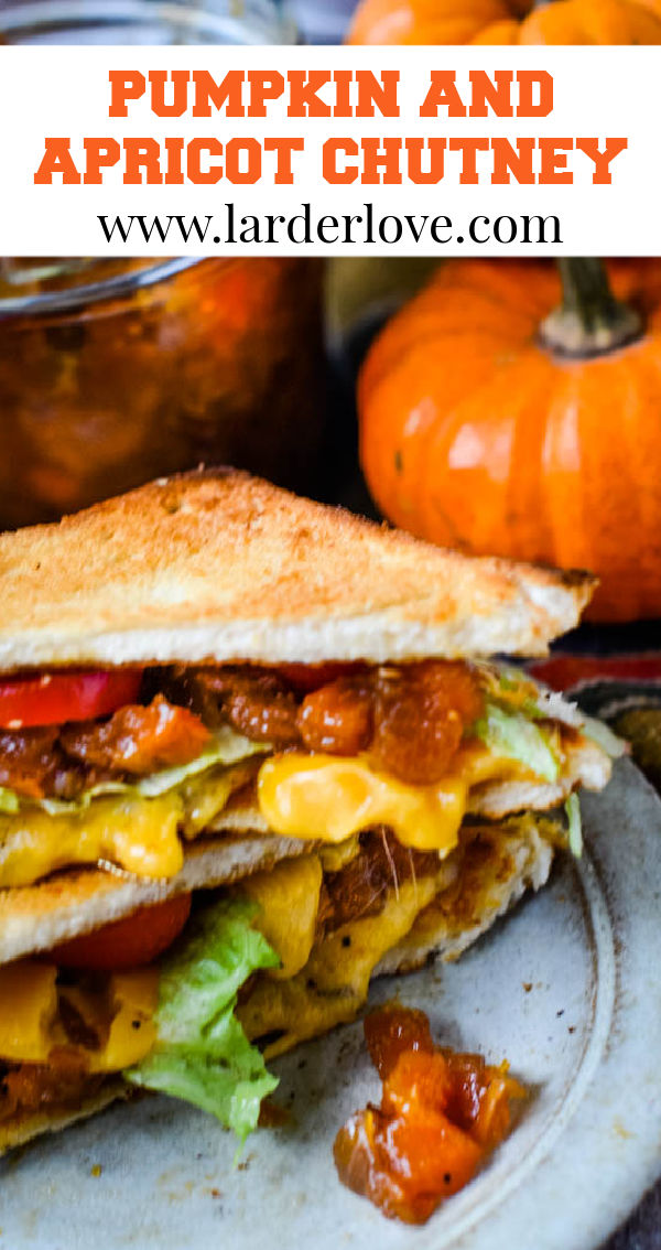 Spiced Pumpkin Chutney With Apricot - Larder Love