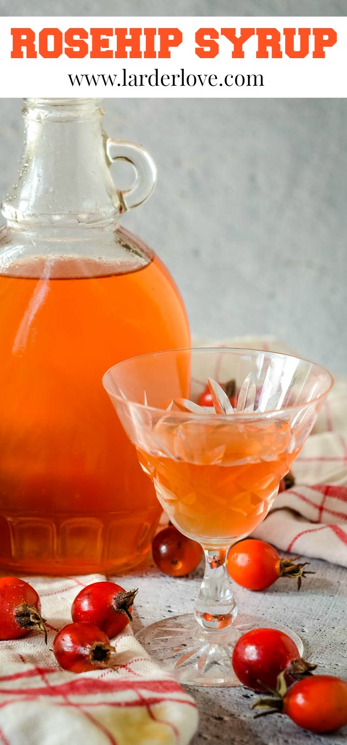 Homemade Rosehip Syrup Recipe - Larder Love