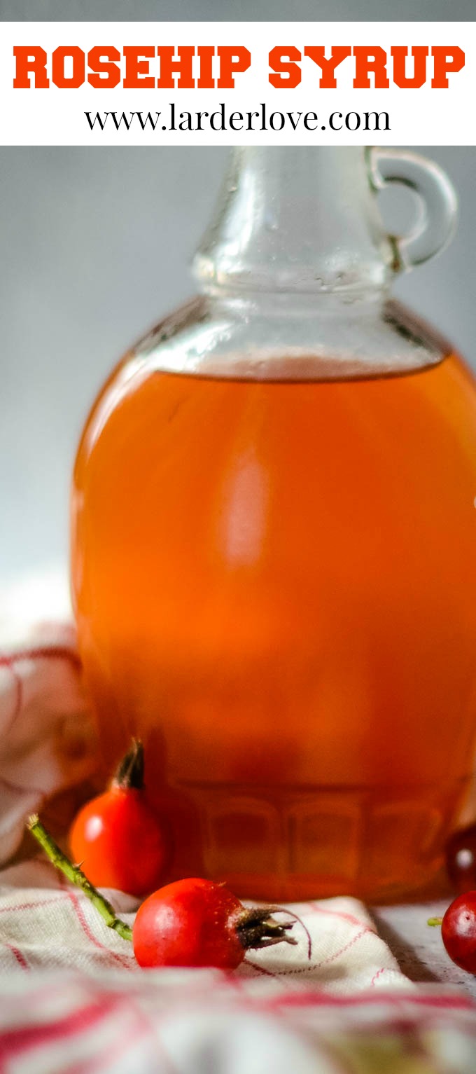 Homemade Rosehip Syrup Recipe - Larder Love