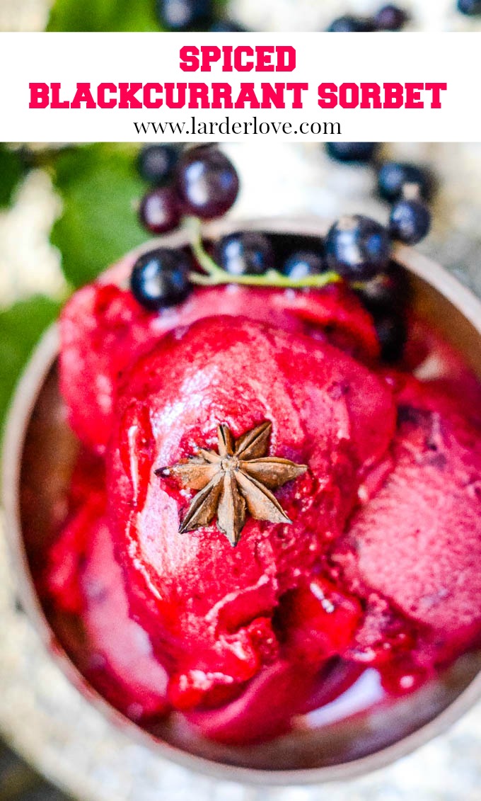 Spiced Blackcurrant Sorbet - Larder Love