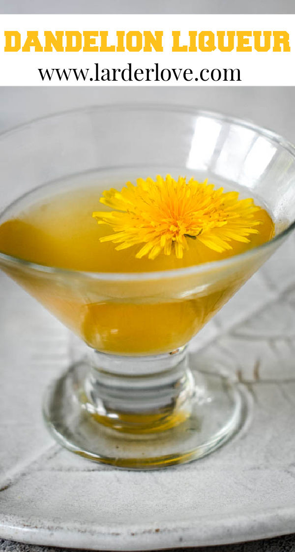 Homemade Dandelion Liqueur Recipe - Larder Love