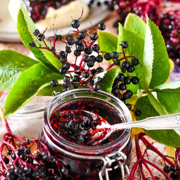Easy Homemade Elderberry Jam - 3 Ingredients And No Pectin - Larder Love