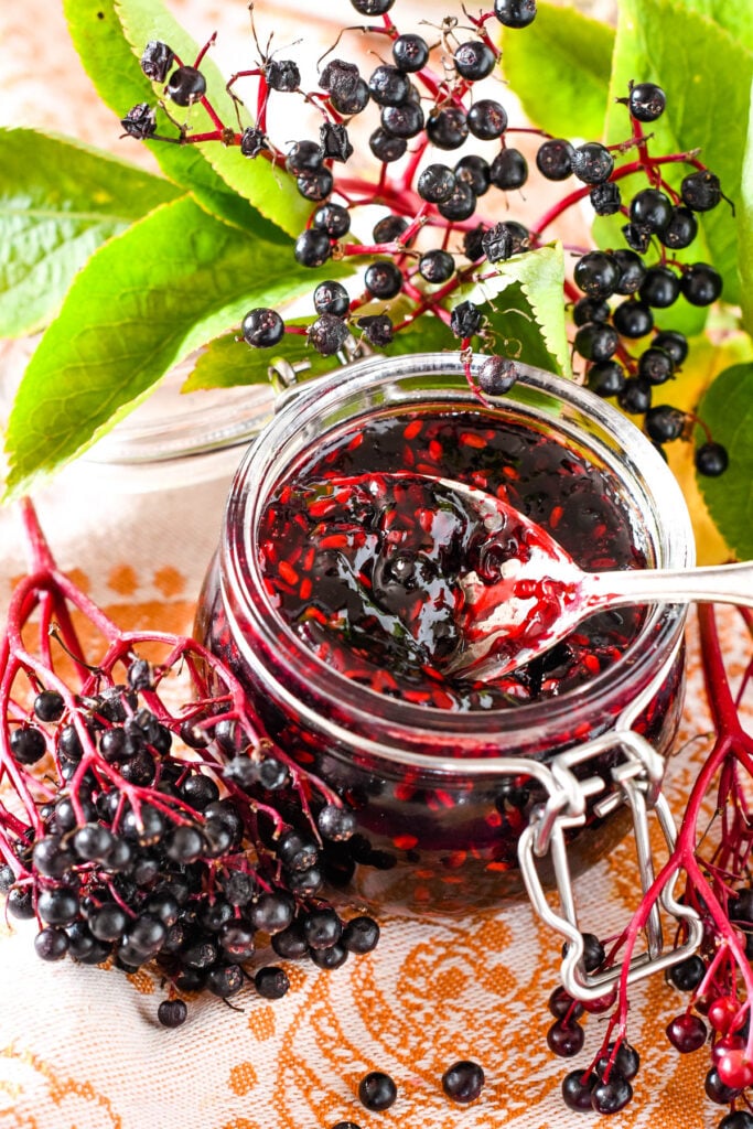 Easy Homemade Elderberry Jam - 3 Ingredients And No Pectin - Larder Love