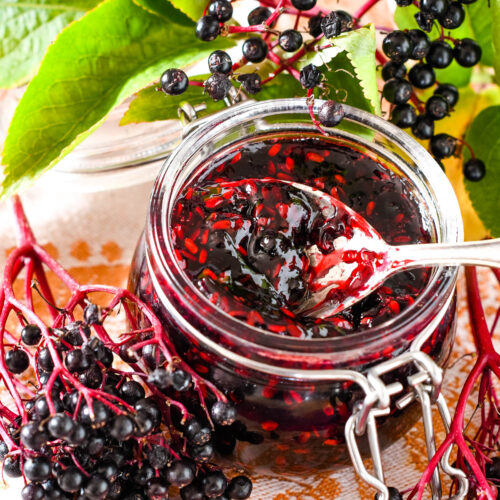 Rowan Berry Jam - Larder Love