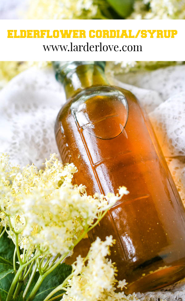 Easy Homemade Elderflower Cordial/Syrup - Larder Love