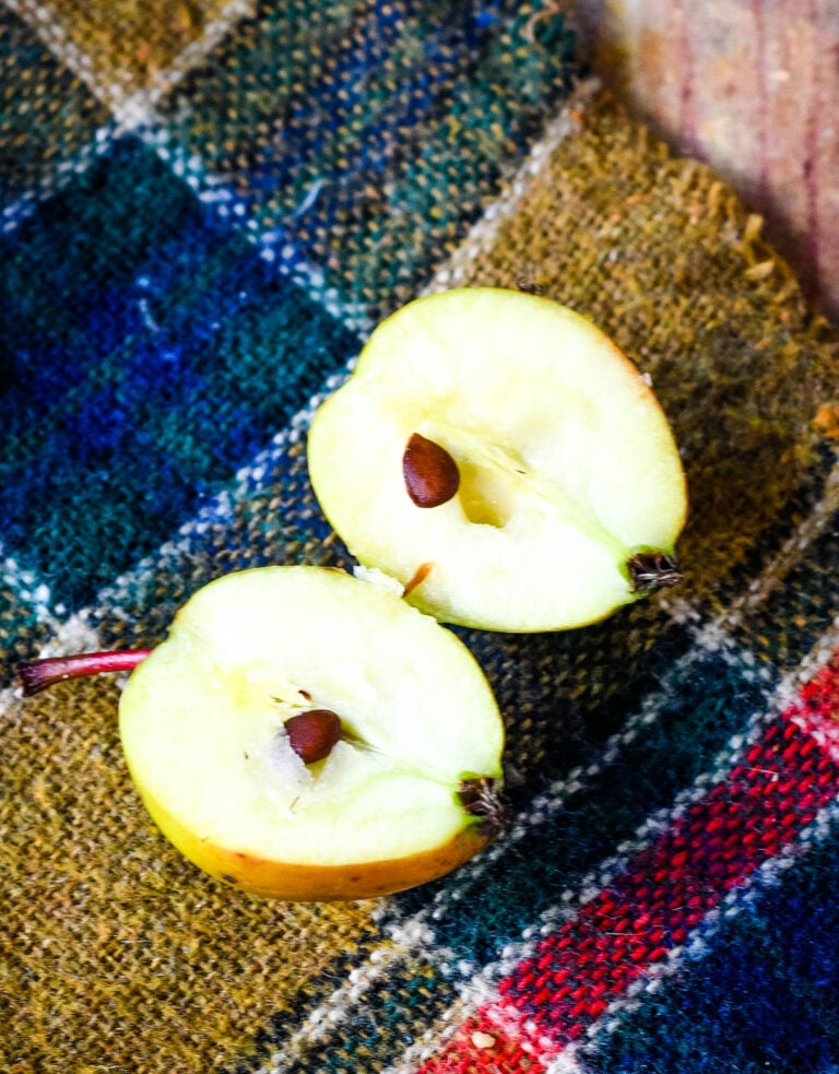 Super Easy Crab Apple Jam (Plus Video) - Larder Love