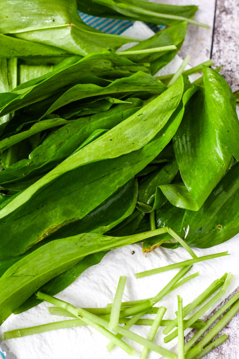 Wild Garlic Dip - Larder Love