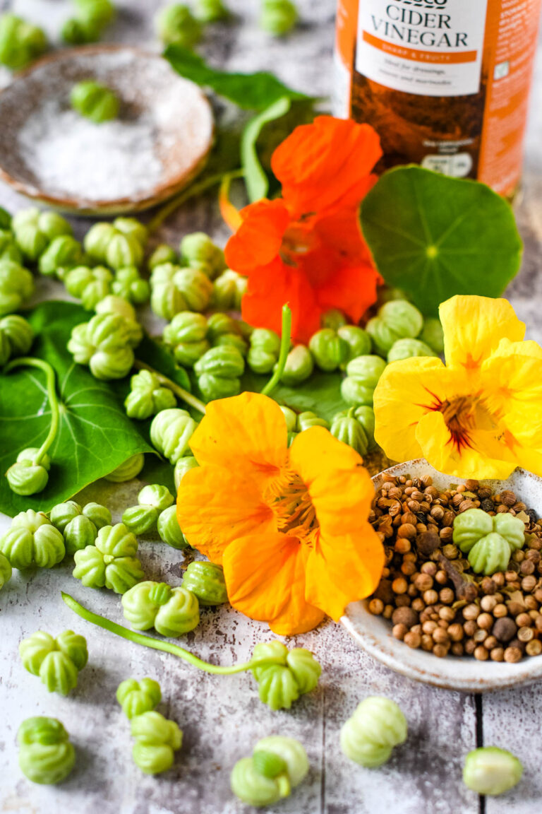 Pickled Nasturtium Pods (Nasturtium Capers) - Larder Love