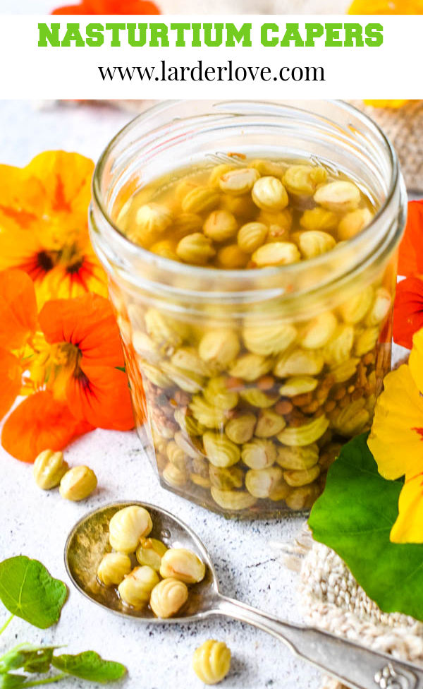 Pickled Nasturtium Pods (Nasturtium Capers) - Larder Love