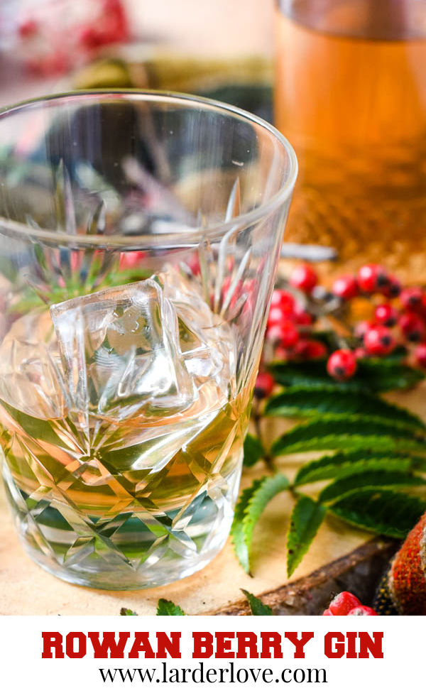 Rowan Berry Gin Liqueur - Larder Love