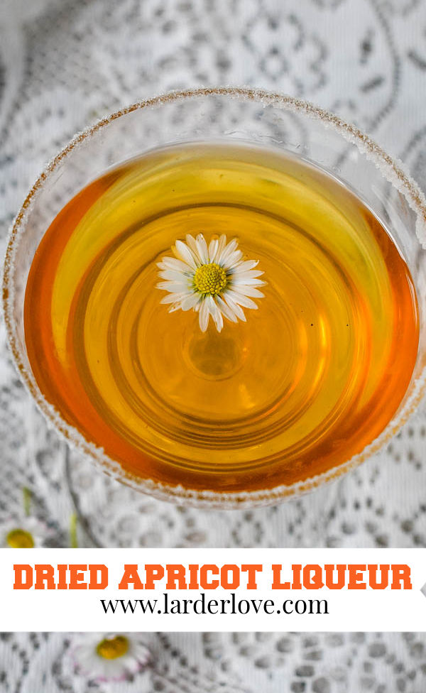 Homemade Dried Apricot Liqueur - Larder Love