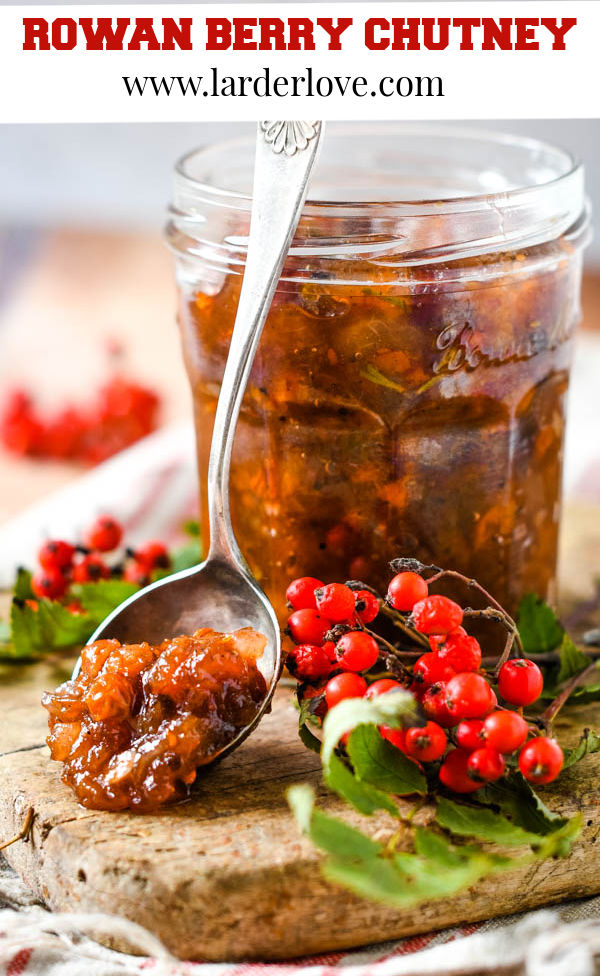 Rowan Berry Chutney - Larder Love